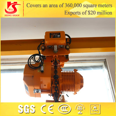 New Design High Quality Electric Chain Hoist supplier