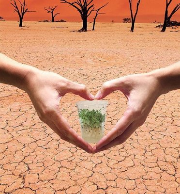 SAP super absorbent polymer potassium polyacrylate as water retainer agent for agriculture crops and plants