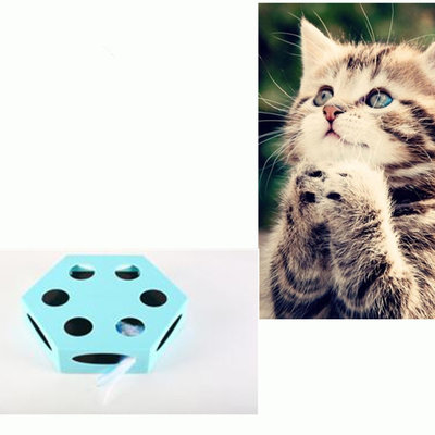 Great design cat toy for pet Chinese manufacturer