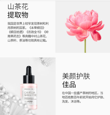 HOT selling Camellia Pore Shrinking serum for all skin