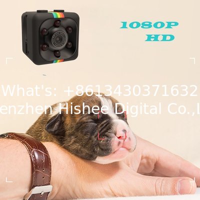 Small Coin Size Mini Camera SQ11 HD Video Camcorder 3.6mm Night Vision 1080P Sports Mini DV with Voice Recorder