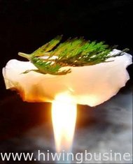 ISO Aerogel Thermal Insulation 0.05 - 0.5 G/Cm3 Aerogel Insulation Material
