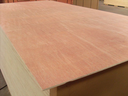 Poplar Core Commercial Plywood Bintangor B/BB Face 2 Time Hot Press Processing