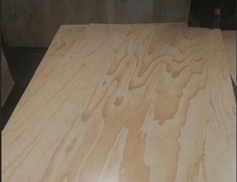 2 Sides / 1 Side UV Coated Plywood Radiata Pine Face And Back Eco Friendly