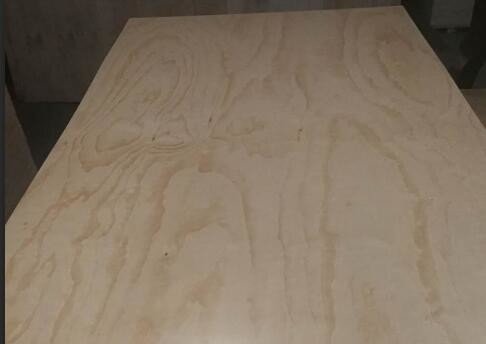2 Sides / 1 Side UV Coated Plywood Radiata Pine Face And Back Eco Friendly