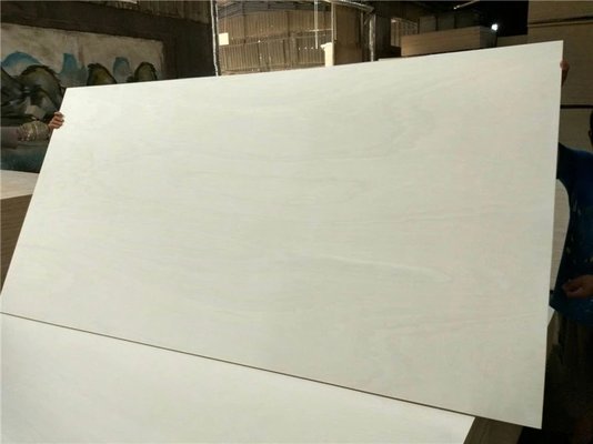 Bleached Poplar Furniture Plywood Sheets 1.8 - 30mm Thickness Non Pollution