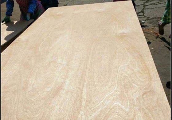 2.5 - 25mm Thickness Commercial Plywood Pencil Cedar Face / Back Easy Cut