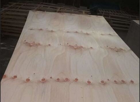 Commercial Knotty Pine Plywood 2 Time Hot Press Premium Quality FSC Approved