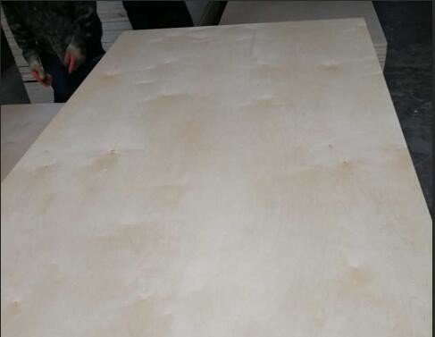 2.5 - 25mm Thickness Commercial Plywood High Bending Strength FSC Compliant