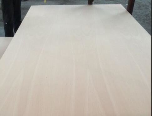 Thickness 2.5 - 25mm Fancy Plywood P/S Cut Euro Beech Plywood FSC Assured