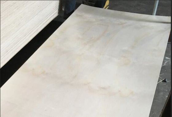 Natural Wood Materials Commercial Plywood Radiate Pine / Hardwood Core