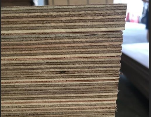 Marine Grade Commercial Plywood Okoume Face / Back With Phenolic Glue