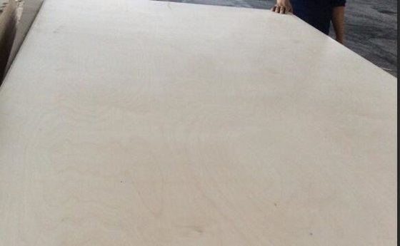 1220*2440mm White Birch Plywood , thickness 2.5-25mm , Furniture Grade, Poplar/Eucalyptus Core