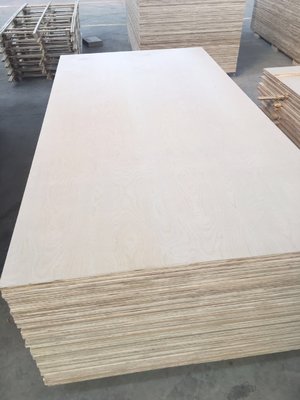 1220*2440mm Cabinet grade White Birch Plywood , Poplar/Eucalyptus Core
