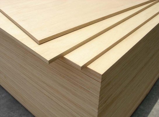 Vietnam Made White Birch Plywood , 1220*2440mm, Acacia/Hardwood Core,