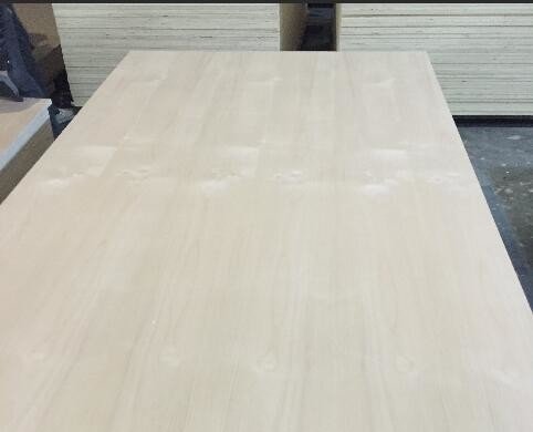 Thickness 2.5 - 25mm Fancy Plywood P/S Cut Euro Beech Plywood FSC Assured