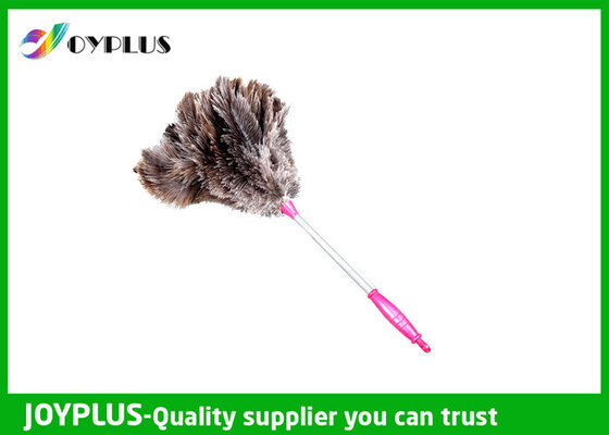 China Household Feather Dusters Cleaning , Feather Duster Ostrich With Stainless Steel Handle supplier