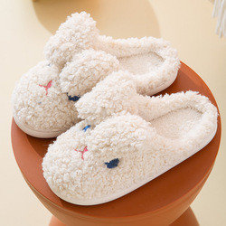 Fashion Trend Slippers Women 2021 Autumn Winter New Design Indoor Home Cartoon Cute Rabbit Plush Warm Anti-Slip