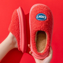 Wholesale 2021 New Design Home Slippers Winter Indoor Thick Bottom Warm Couple Style Plush women closed shoes