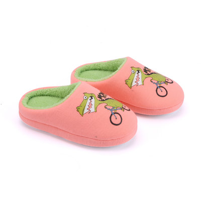 winter Lovely cartoon dinosaur keep warm house indoor  children kids woman home slippers