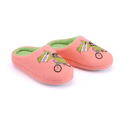 winter Lovely cartoon dinosaur keep warm house indoor  children kids woman home slippers