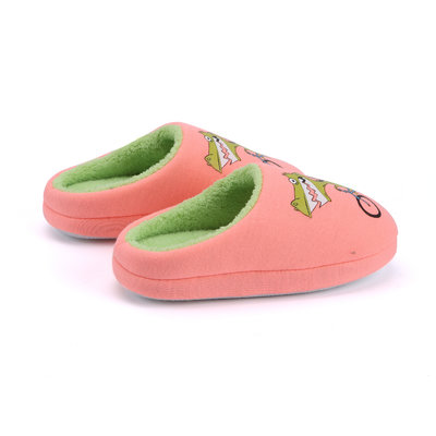 winter Lovely cartoon dinosaur keep warm house indoor  children kids woman home slippers