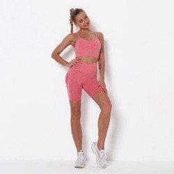New fashion women seamless yoga leggings collocation sports bra 2-piece wholesale customization gym wear