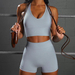 2022 Summer Sleeveless Lady 4 colors Customize Logo 2 Piece sports Set Crop top and ride pants yoga wear