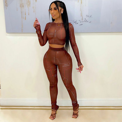 2021 Autumn women Long Sleeve sexy Print Mesh Crop top 2 Piece sport suit See Through tight sports sets leisure Tracksuit