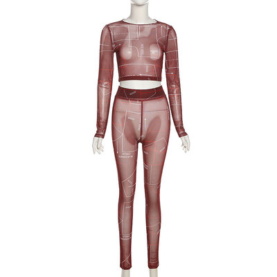 2021 Autumn women Long Sleeve sexy Print Mesh Crop top 2 Piece sport suit See Through tight sports sets leisure Tracksuit