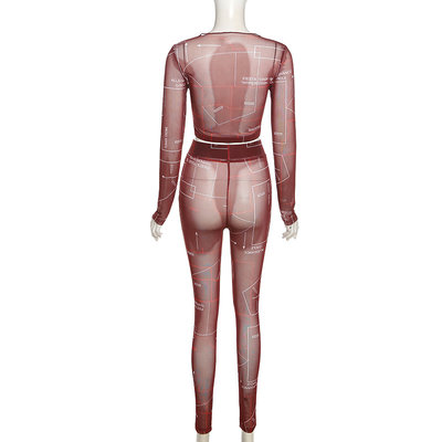 2021 Autumn women Long Sleeve sexy Print Mesh Crop top 2 Piece sport suit See Through tight sports sets leisure Tracksuit
