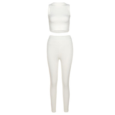 Women Outdoor Sports set ladies Training Breathable fitness Clothes Quick Dry Solid Color two pieces Yoga Sets in stock