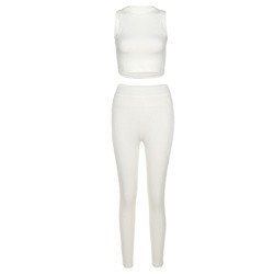 Women Outdoor Sports set ladies Training Breathable fitness Clothes Quick Dry Solid Color two pieces Yoga Sets in stock