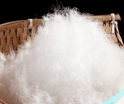 China 90% White Goose Down OKO-Tex USA Standard for Bedding Set Filling Material supplier