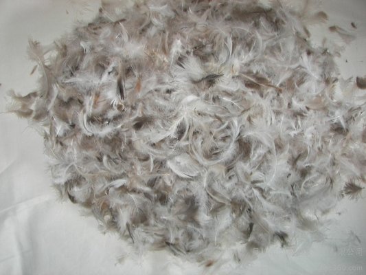 China Grey Duck Feather High Cleanliness Quilt Filling Material for Down Jacket or Down Pillow supplier