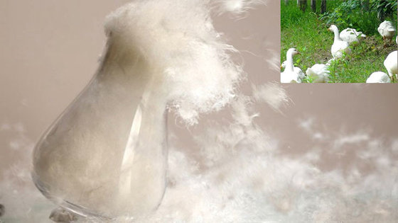 China 75% Duck Down 25% Duck Feather Quilt Filling Material OKO-Tex Standard for Bedding Set supplier