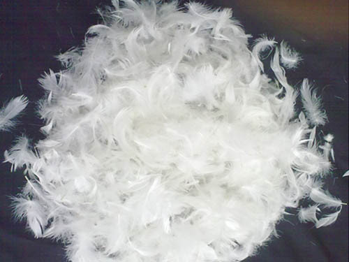 China 4Cm - 6cm Natural Safety Duck Feather Pillow Filling Materials for Quilts / Cushions supplier