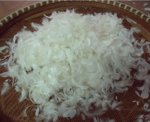 China High Filling Power Pillow Filling Materials White Duck Feather and Down for Comforter supplier