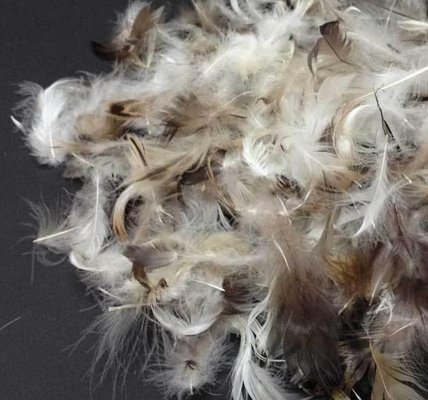 China Soft Pillow Filling Materials Washed Grey Duck Feathers for Filling Bedding and Clothes supplier