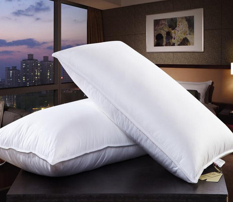 China Anti - Apnea Goose Feather And Down Pillows Hypo Allergenic supplier