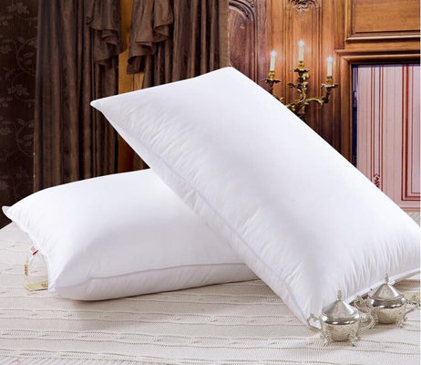 China 700G Down Feather Pillow Fashion Custom Various Accessories supplier