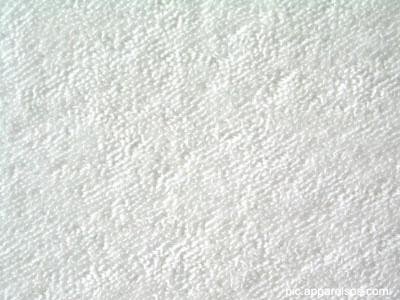 China Terry Laminated Bed Bug Proof and Waterproof Mattress Covers Protector for Home or Hotel supplier