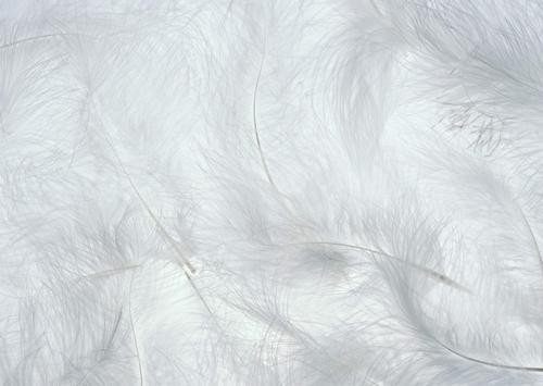 Contemporary 100% Polyester Down Feather Quilt / Duvet / Comforter Single or Twin Size supplier