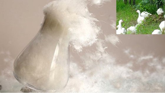 High Grade 90% Washed Luxury Duck Down Pillow Filling Materials for Home Bedding Set supplier