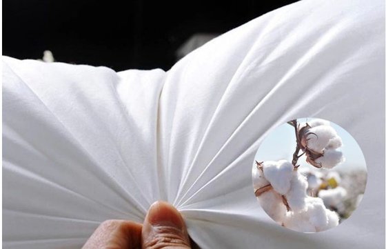 Soft Home / Hotel Comfortable Down Feather Pillow for Decorative , Sleeping , Bedding supplier