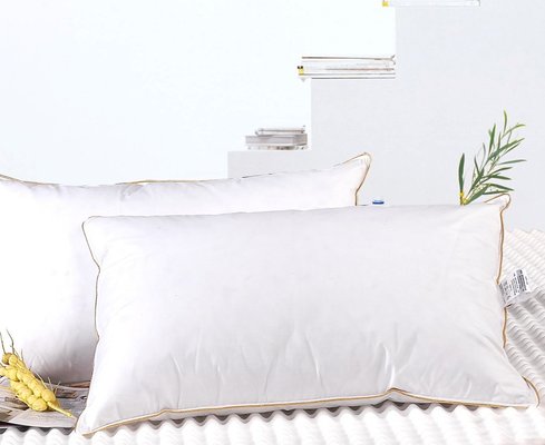 Gold-Piping Cotton Hotel Down Feather Pillow , Eco-friendly Washed Pillows Wholesale supplier