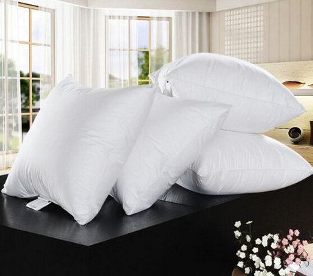 Grey Duck Feather Cotton Cushion Inserts White Knife Edge OEM supplier