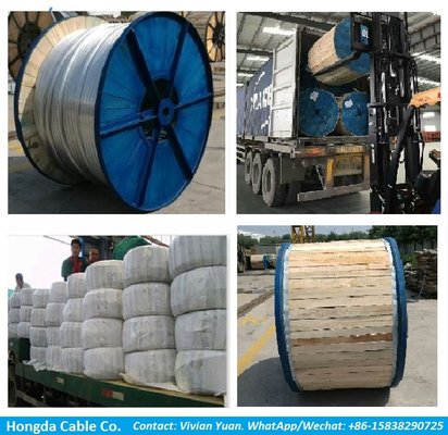 Manufacturer Bare Conductor Overhead/AAC/AAAC/ACSR Conductor Cable (BS/DIN/IEC/ASTM)