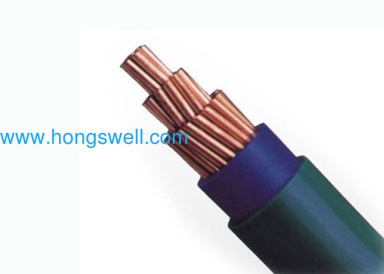 1*300 Sq Mm PVC Insulated Copper Power Cable