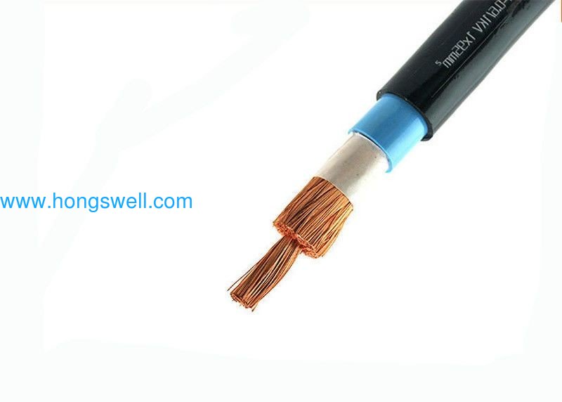 Heavy Duty PVC Insulated Power Cable 1*10 Sq. Mm 600 / 1000 V